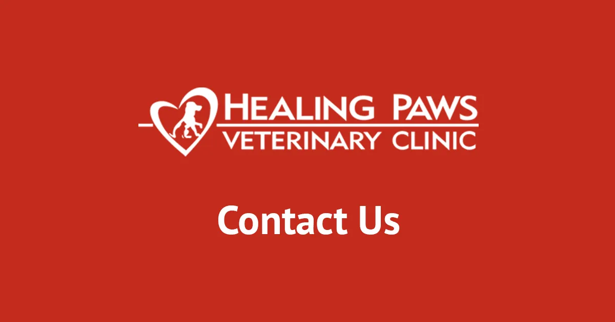 Contact Our Veterinary Clinic in Springfield, MO - Healing Paws Veterinary Clinic in Springfield MO