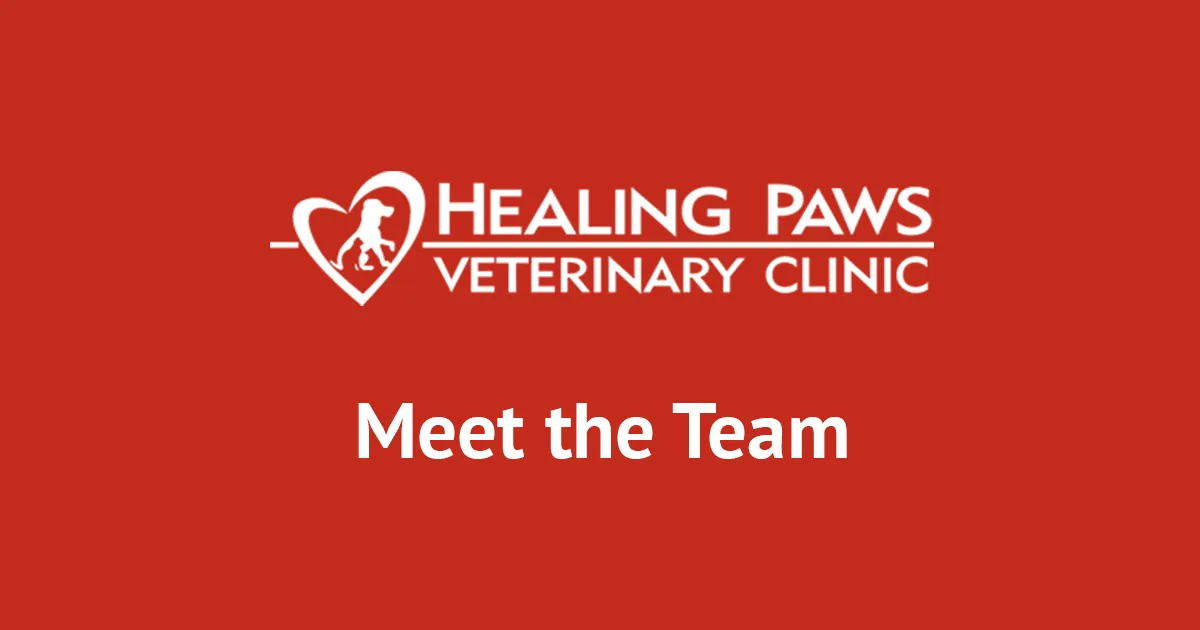 Meet the Veterinary Team - Healing Paws Veterinary Clinic in Springfield MO