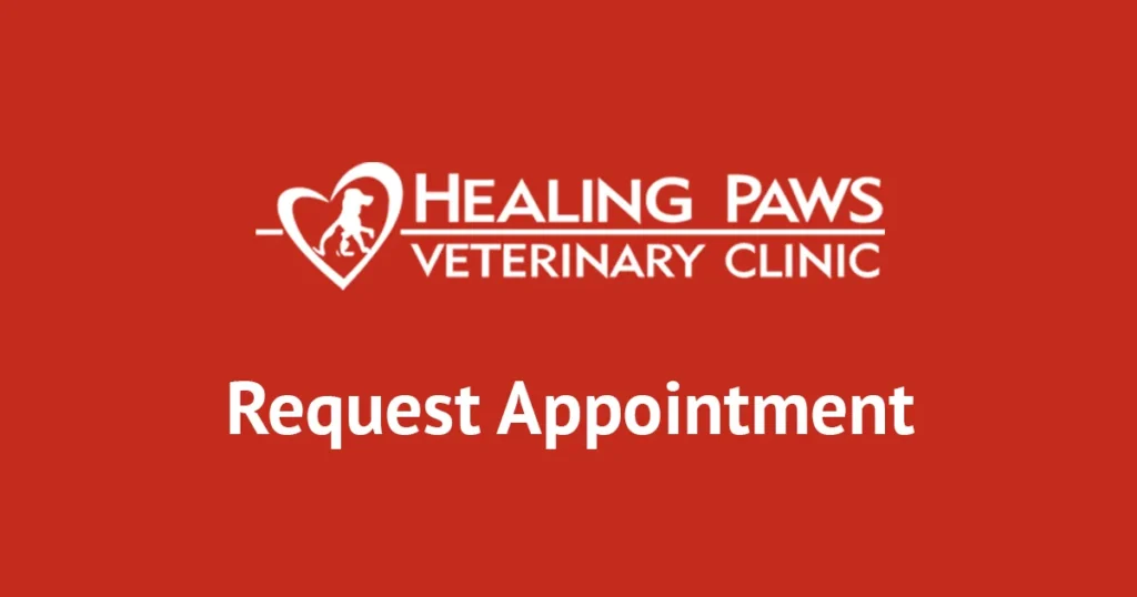 Request a Vet Appointment - Healing Paws Veterinary Clinic in ...