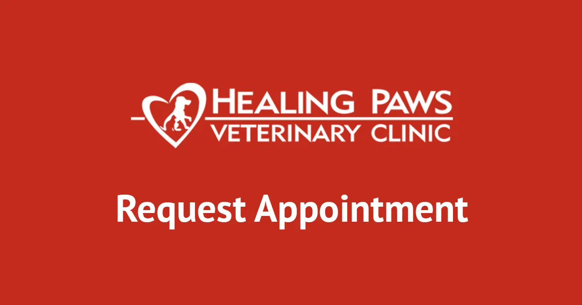 Request a Vet Appointment - Healing Paws Veterinary Clinic in ...